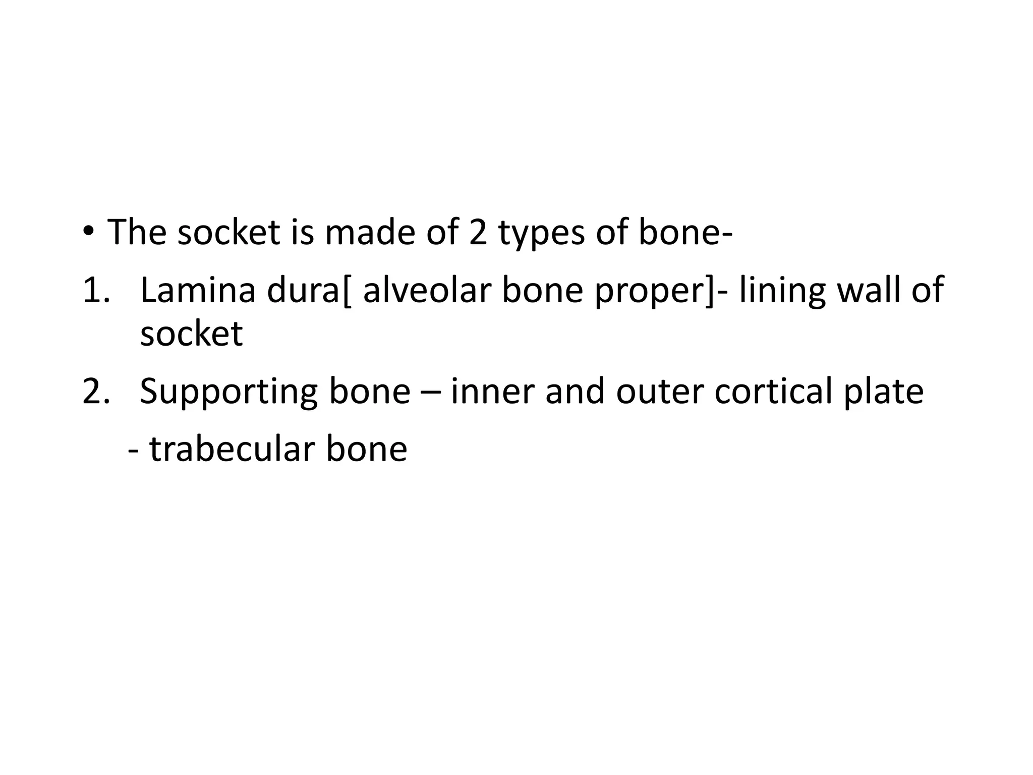 Anatomy of maxilla and mandible | PPTX