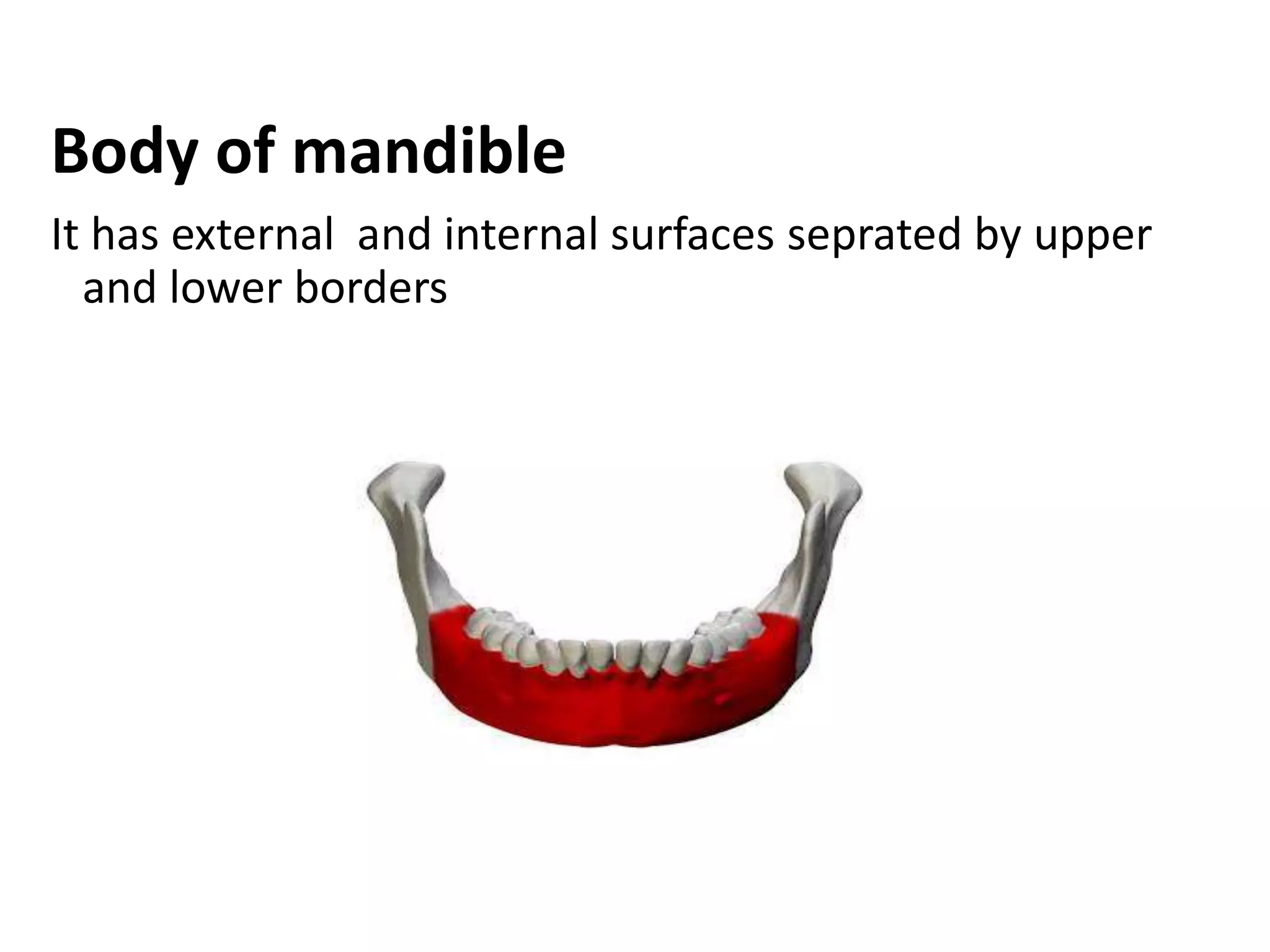 Anatomy of maxilla and mandible | PPT