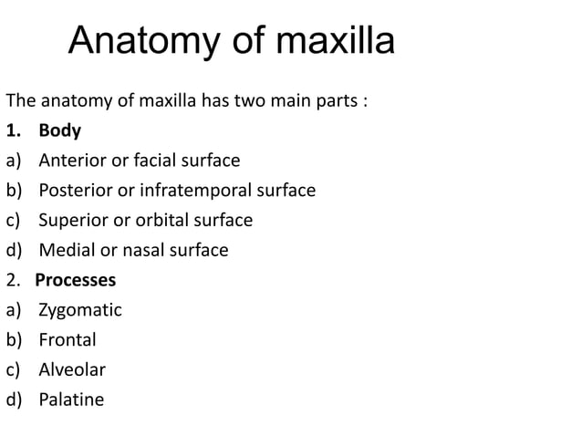 Anatomy of maxilla and mandible | PPT