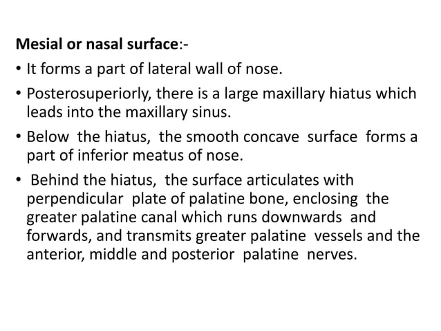 Anatomy of maxilla and mandible | PPT