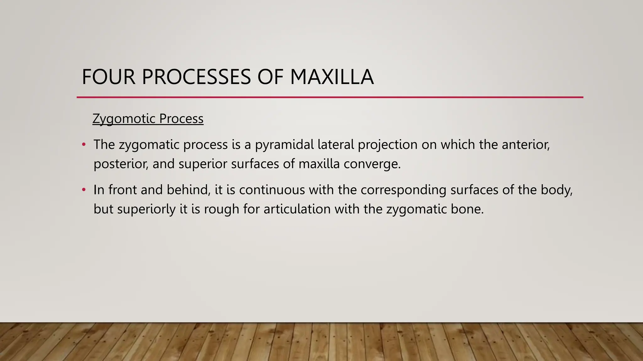 anatomy of maxilla oral and maxillofacial surgery topic OMFS | PPTX