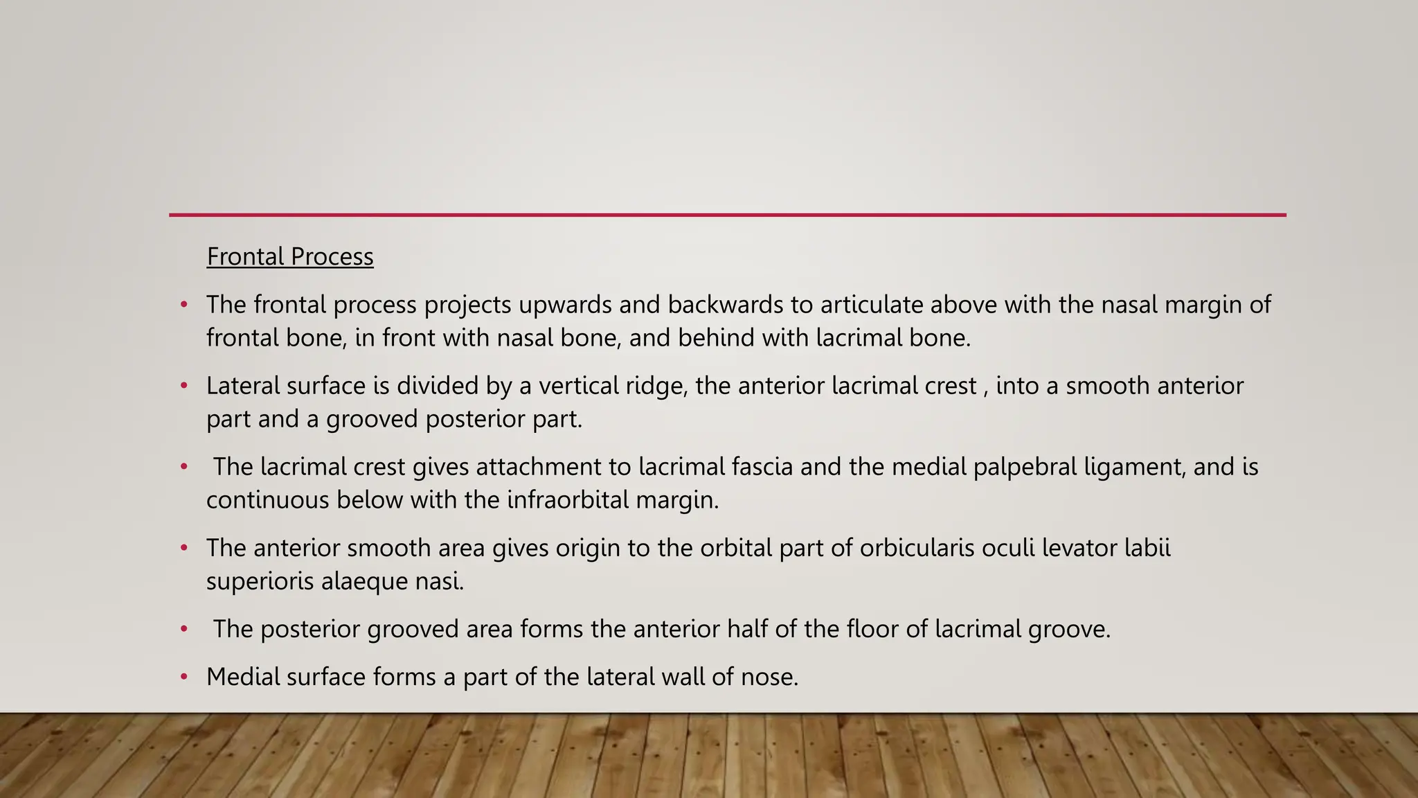 anatomy of maxilla oral and maxillofacial surgery topic OMFS | PPTX