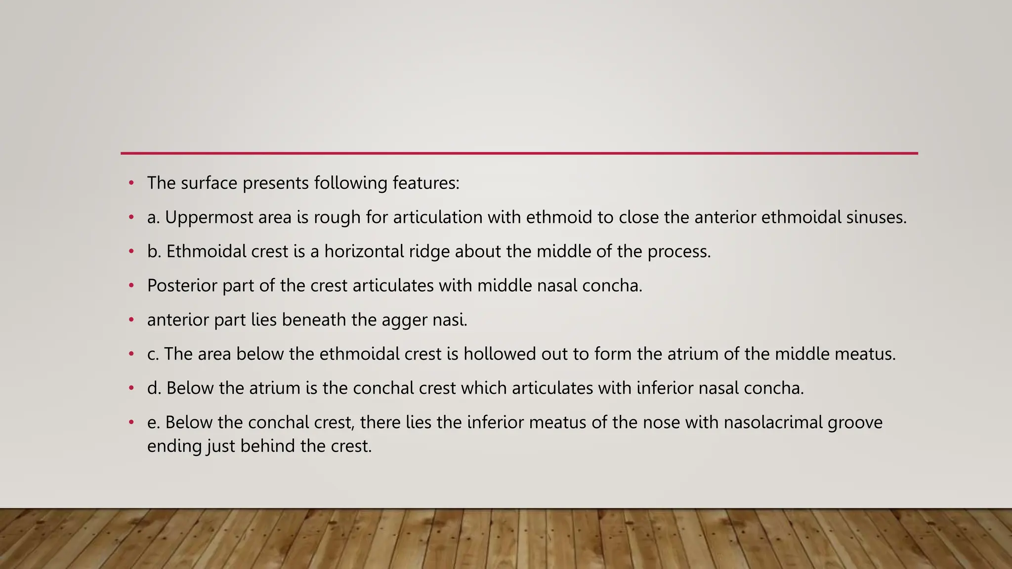 anatomy of maxilla oral and maxillofacial surgery topic OMFS | PPTX