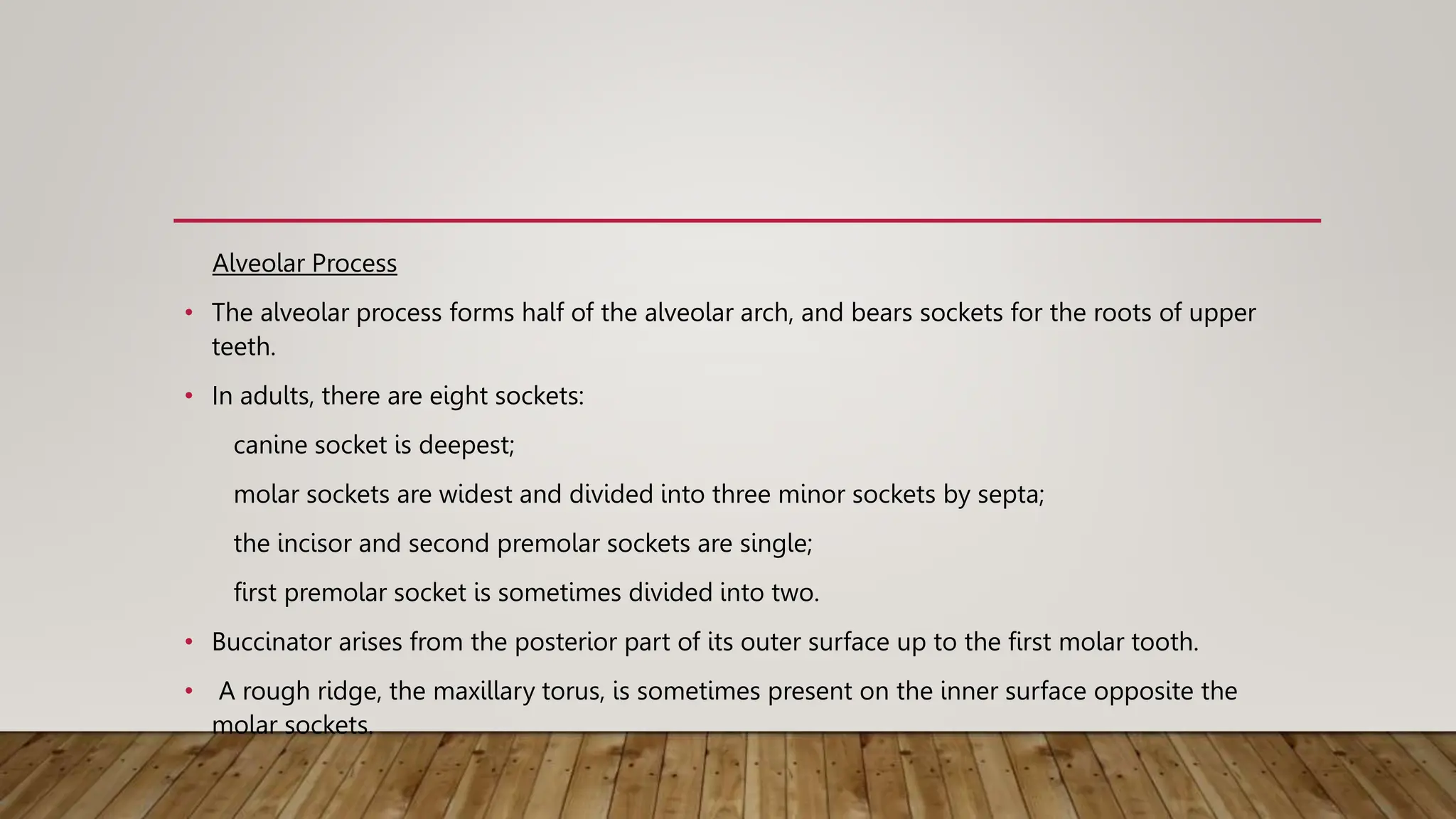 anatomy of maxilla oral and maxillofacial surgery topic OMFS | PPTX