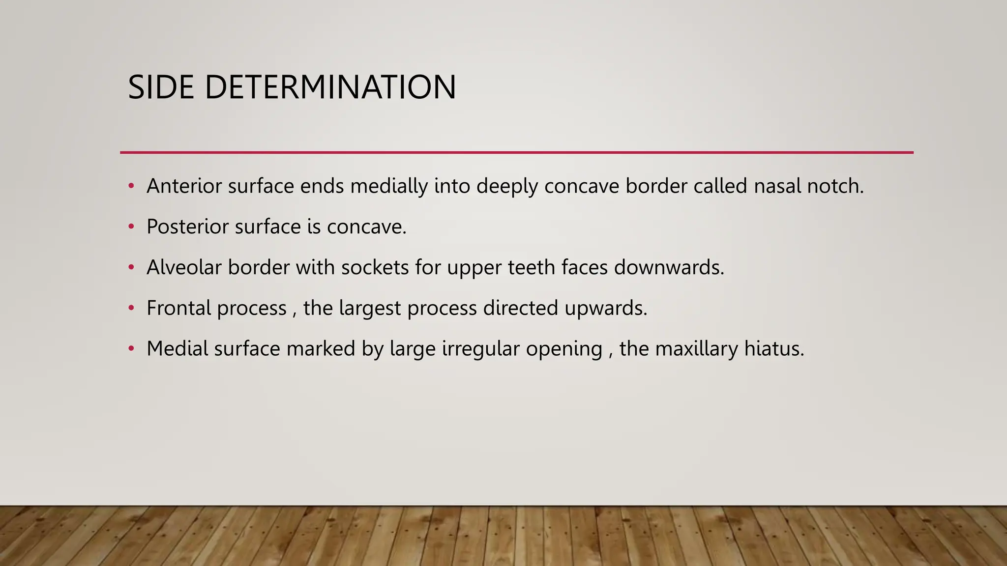 anatomy of maxilla oral and maxillofacial surgery topic OMFS | PPTX