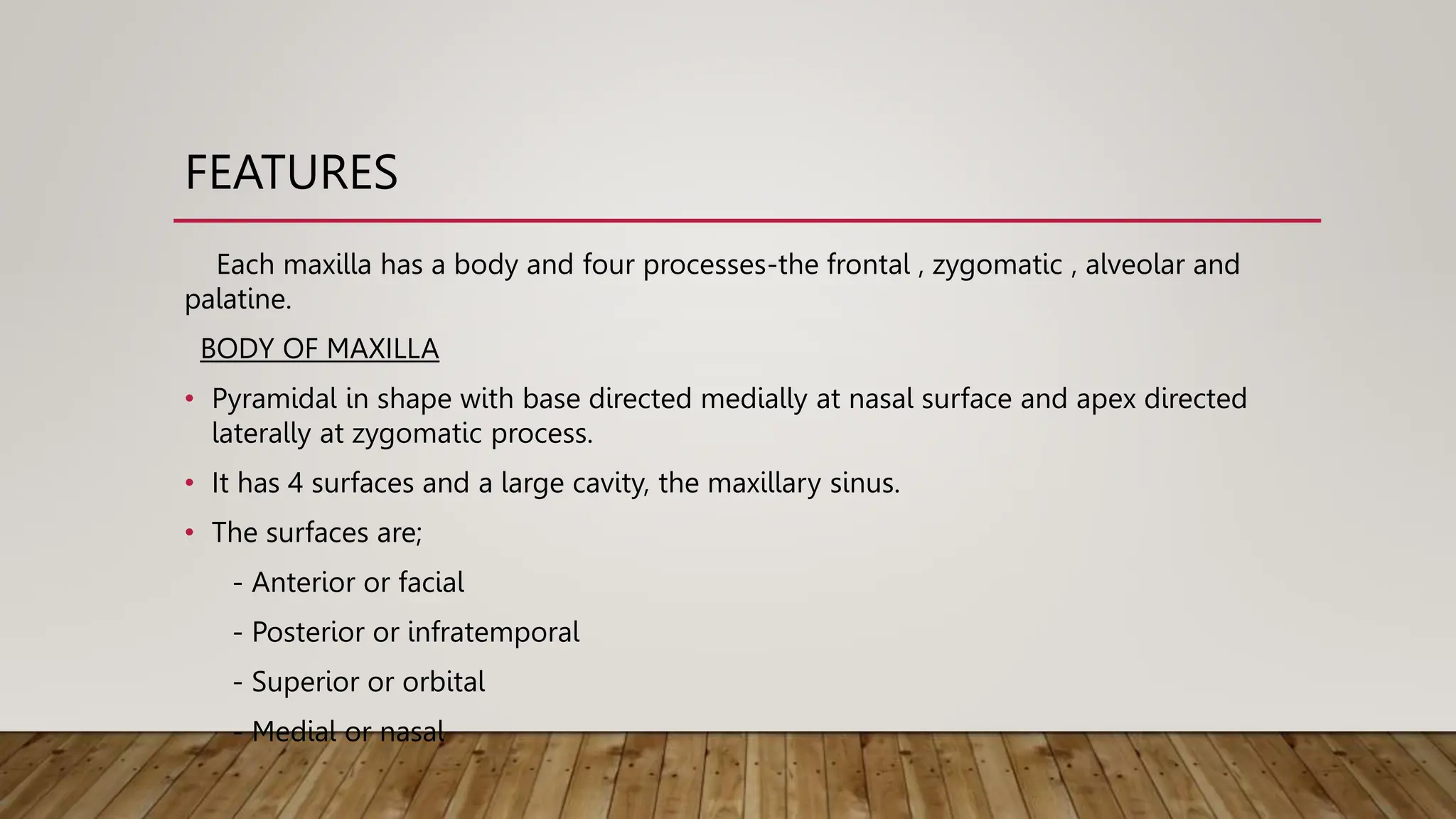 anatomy of maxilla oral and maxillofacial surgery topic OMFS | PPTX