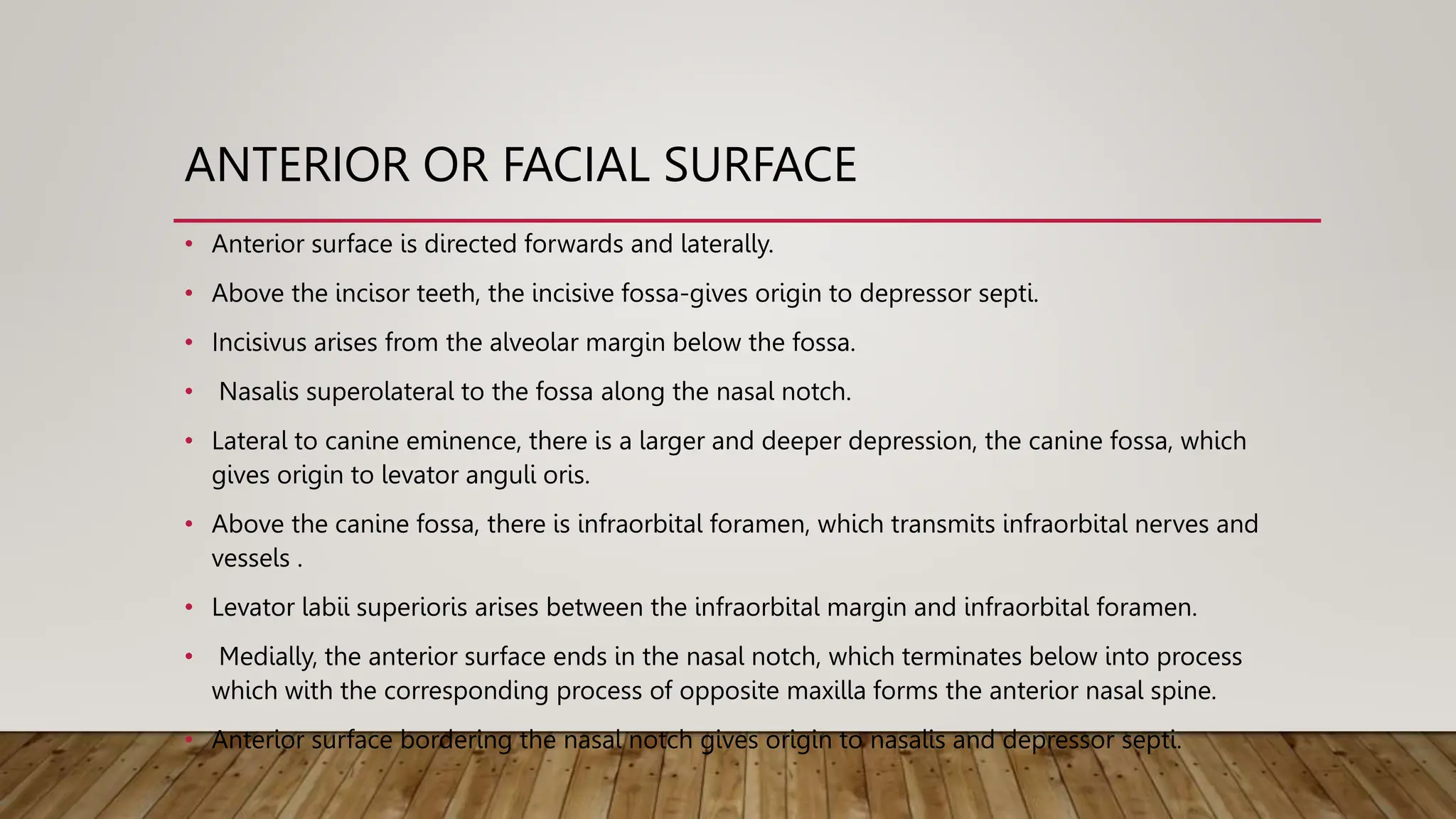 anatomy of maxilla oral and maxillofacial surgery topic OMFS | PPTX