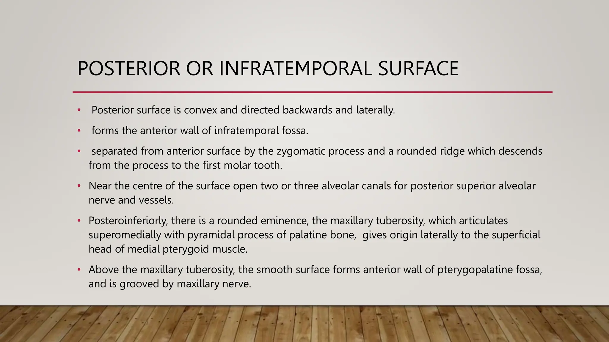 anatomy of maxilla oral and maxillofacial surgery topic OMFS | PPTX