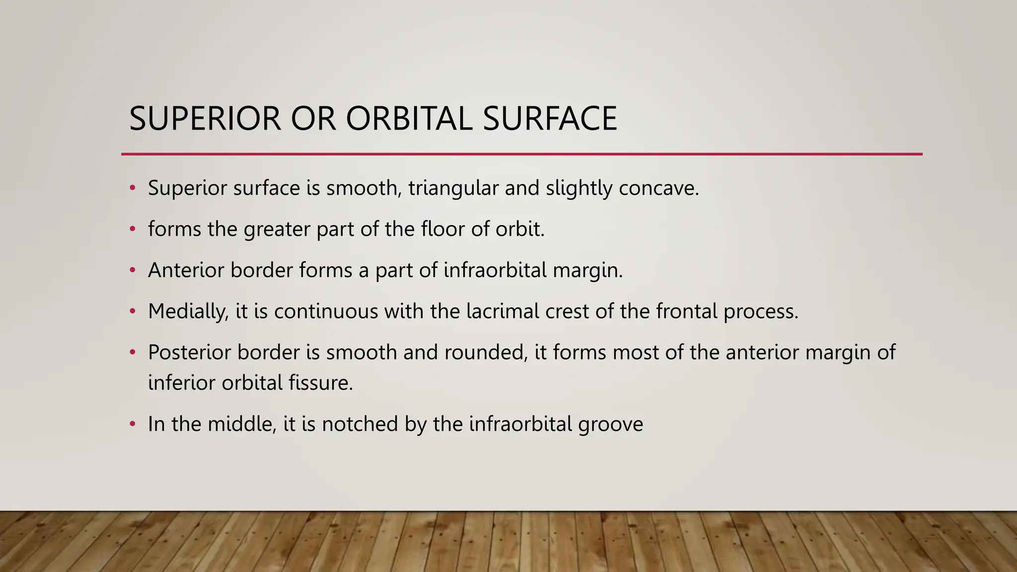 anatomy of maxilla oral and maxillofacial surgery topic OMFS | PPTX