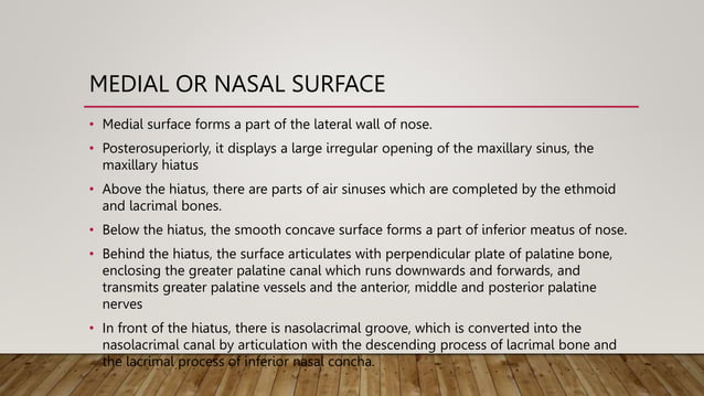 anatomy of maxilla oral and maxillofacial surgery topic OMFS | PPT