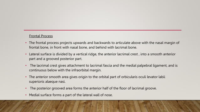anatomy of maxilla oral and maxillofacial surgery topic OMFS | PPT