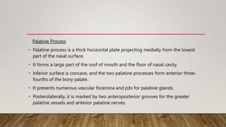 anatomy of maxilla oral and maxillofacial surgery topic OMFS | PPT