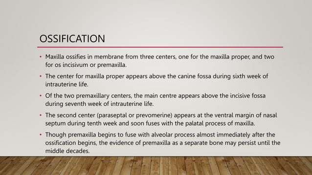 anatomy of maxilla oral and maxillofacial surgery topic OMFS | PPT