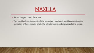 anatomy of maxilla oral and maxillofacial surgery topic OMFS | PPT