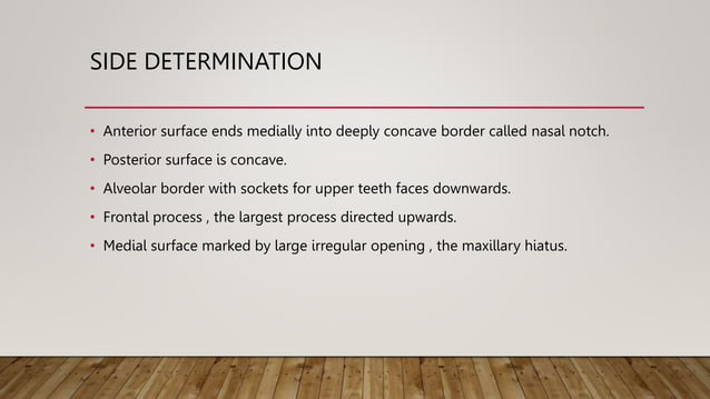 anatomy of maxilla oral and maxillofacial surgery topic OMFS | PPT