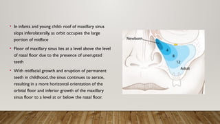 Anatomy of Maxillary, Frontal and Sphenoid sinuses.pptx