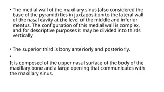 Embryology and Anatomy of Maxillary sinus | PPTX
