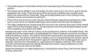Embryology and Anatomy of Maxillary sinus | PPTX