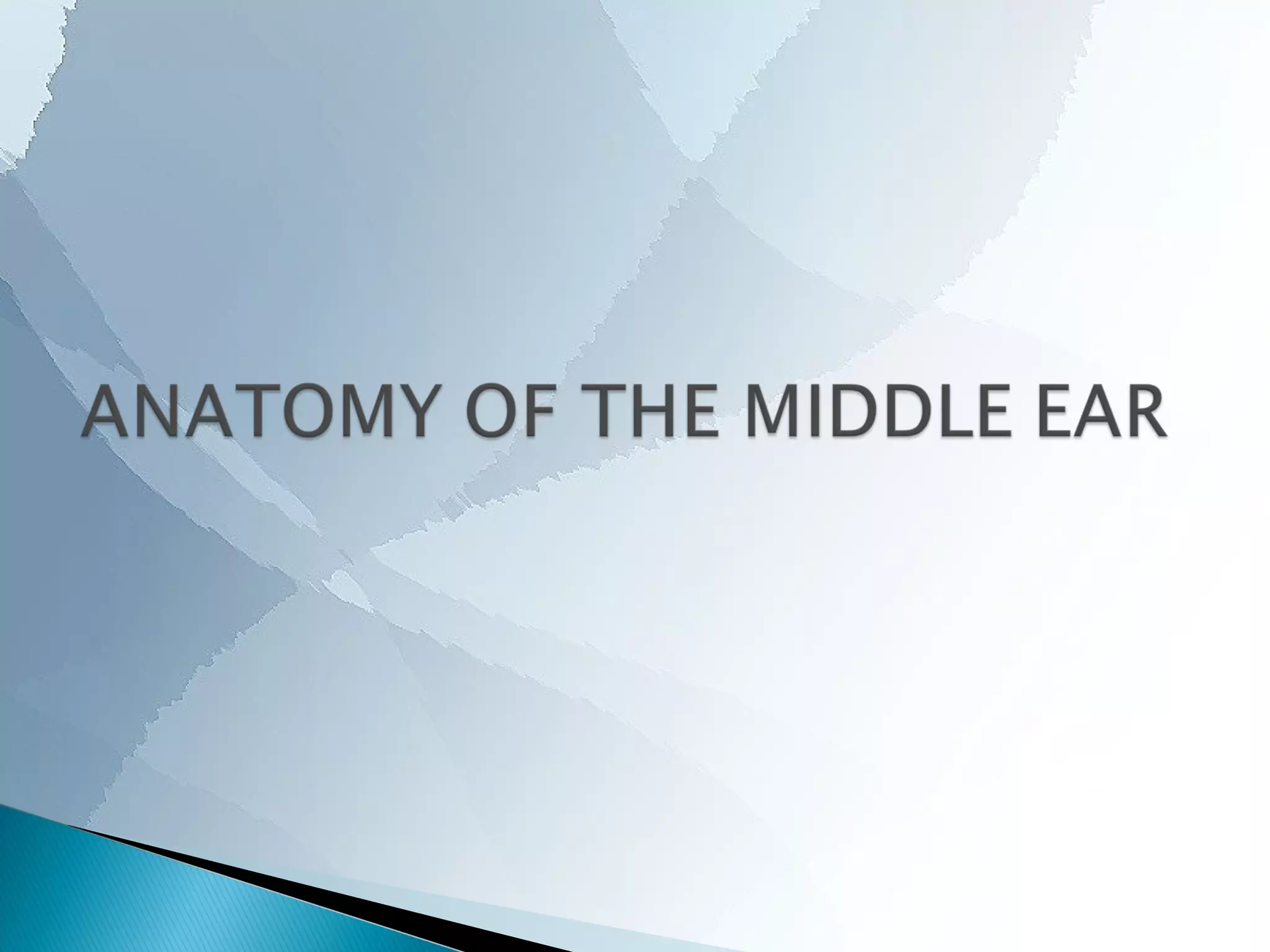 ANATOMY OF MIDDLE EAR CLEFT | PPT