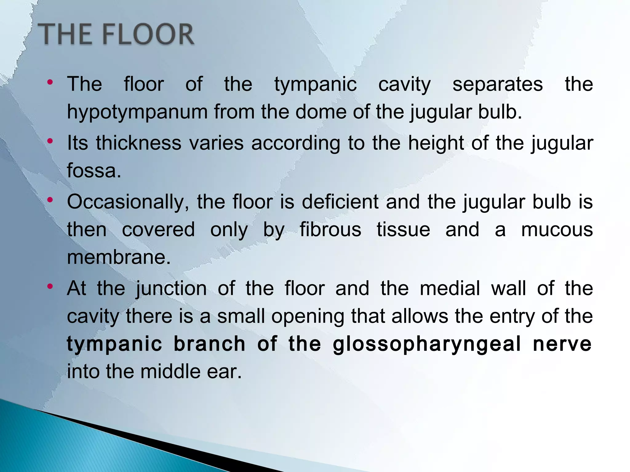 ANATOMY OF MIDDLE EAR CLEFT | PPT | Ear, Nose and Throat Conditions ...