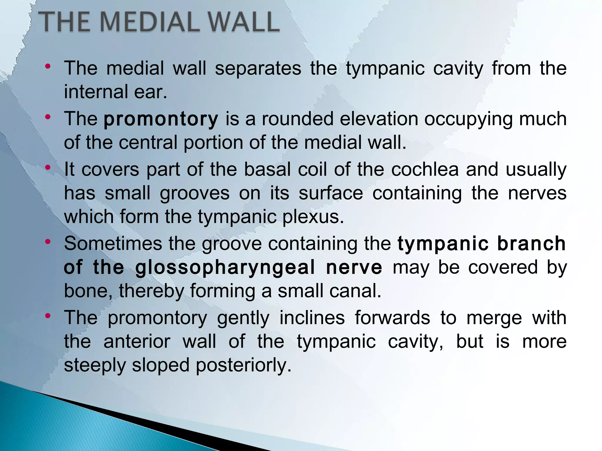 ANATOMY OF MIDDLE EAR CLEFT | PPT | Ear, Nose and Throat Conditions ...