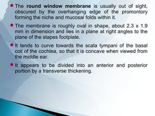 ANATOMY OF MIDDLE EAR CLEFT | PPT