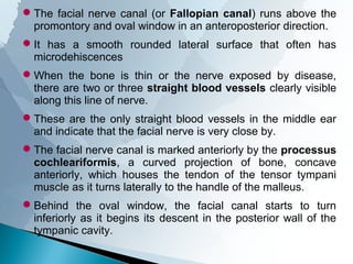 ANATOMY OF MIDDLE EAR CLEFT | PPT