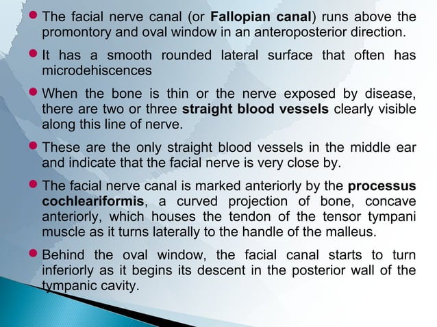ANATOMY OF MIDDLE EAR CLEFT | PPT | Ear, Nose and Throat Conditions ...