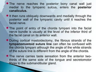 ANATOMY OF MIDDLE EAR CLEFT | PPT