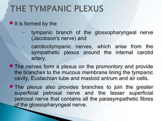ANATOMY OF MIDDLE EAR CLEFT | PPT
