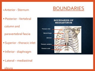 Anatomy of mediastinum | PPTX