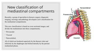 Anatomy of mediastinum- med student anatomy.pptx