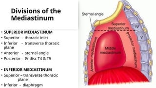Anatomy Of Mediastinum.pptxjdjfjfjdjdkfkdk | PPTX