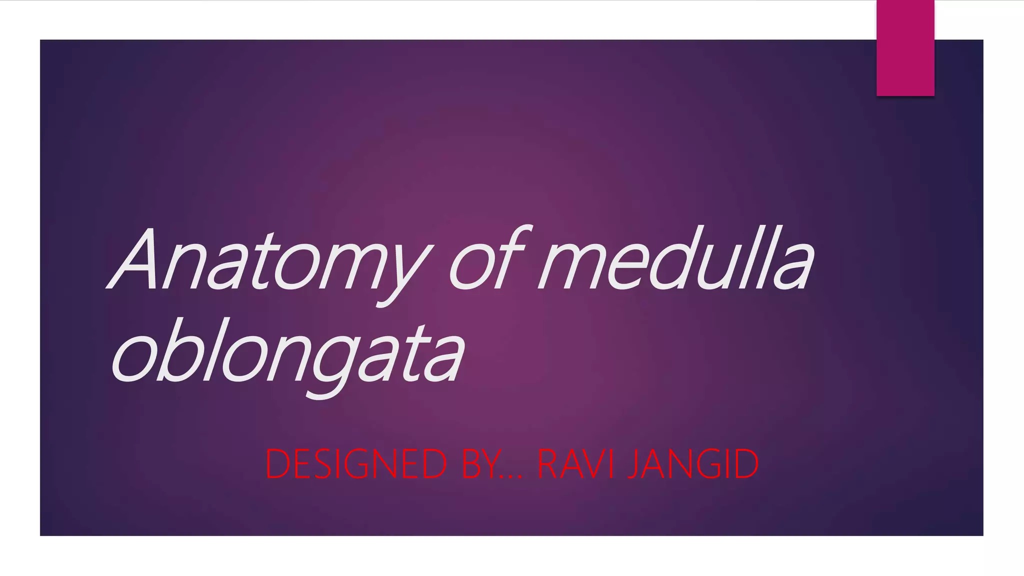 Anatomy of medulla oblangata | PPTX