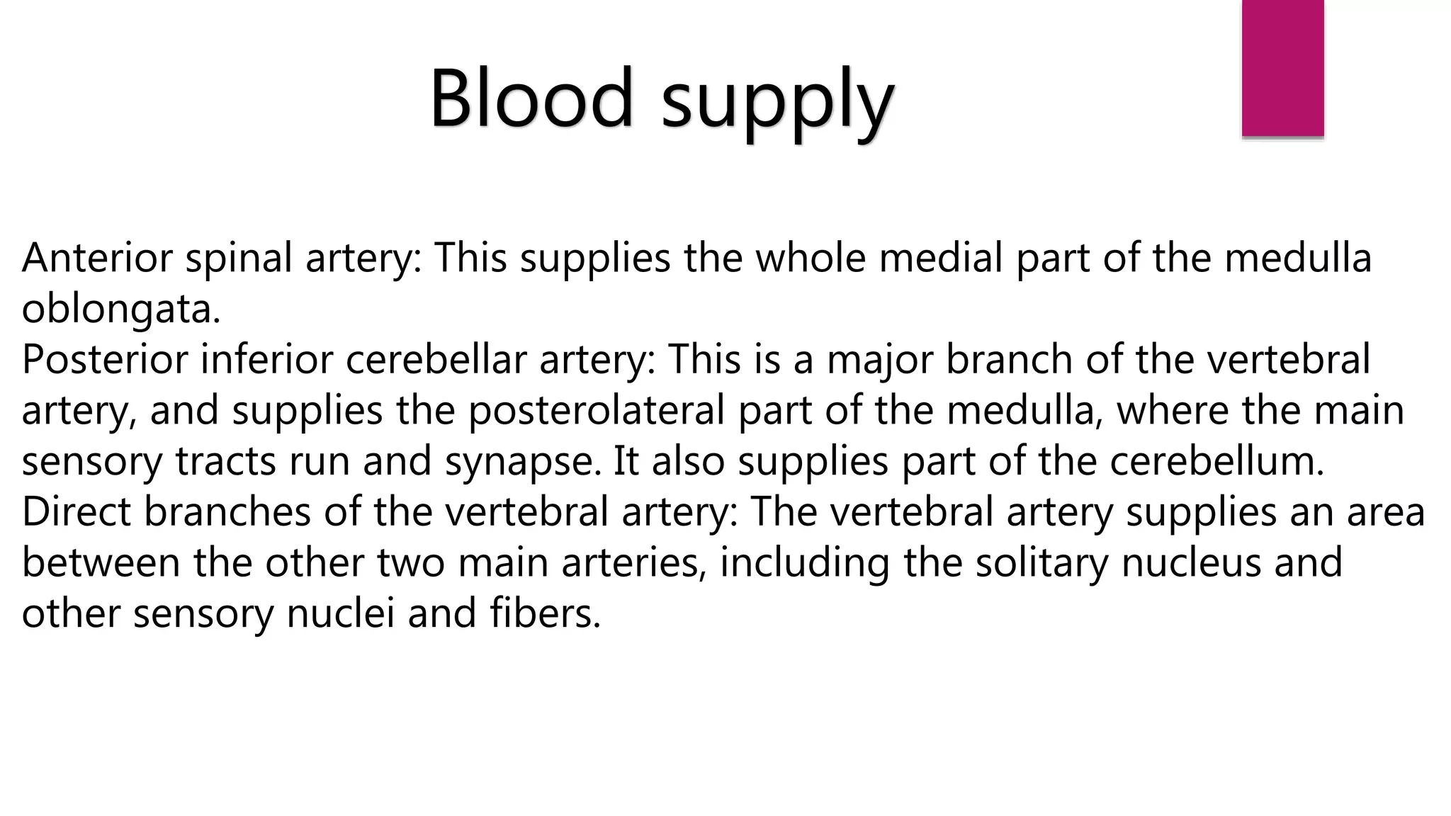 Anatomy of medulla oblangata | PPTX