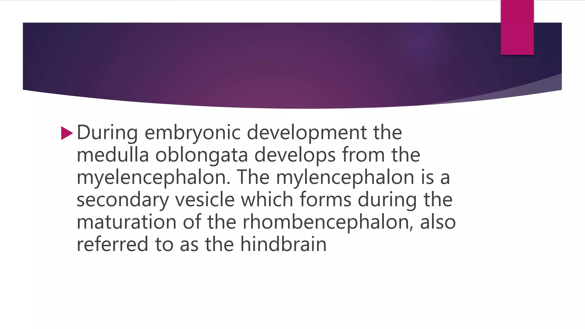 Anatomy of medulla oblangata | PPTX