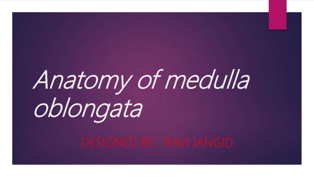 Anatomy of medulla oblangata | PPTX | Brain and Nervous System ...