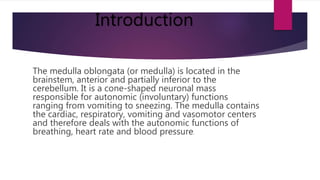 Anatomy of medulla oblangata | PPTX