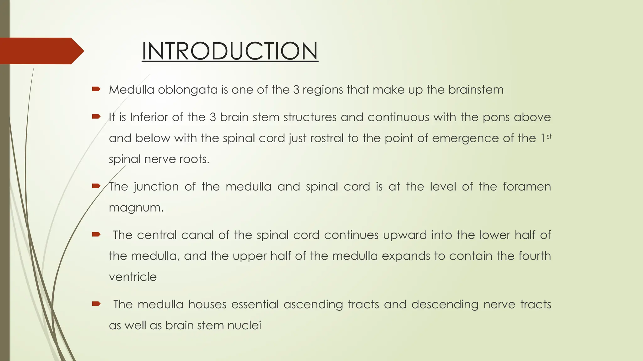 ANATOMY OF MEDULLA OBLANGATA AND SYNDROMES.pptx
