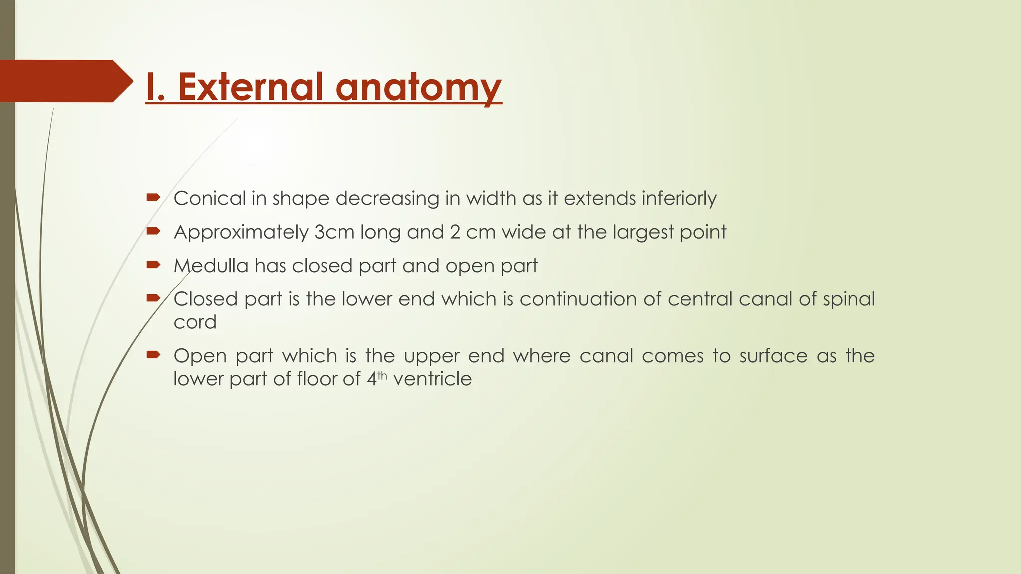 ANATOMY OF MEDULLA OBLANGATA AND SYNDROMES.pptx