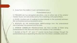 ANATOMY OF MEDULLA OBLANGATA AND SYNDROMES.pptx