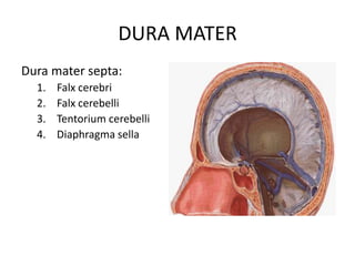 anatomyofmeningesventriclescerebrospinalfluid-100604195832-phpapp02.pdf