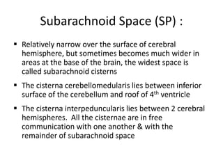 Subarachnoid Space Csf
