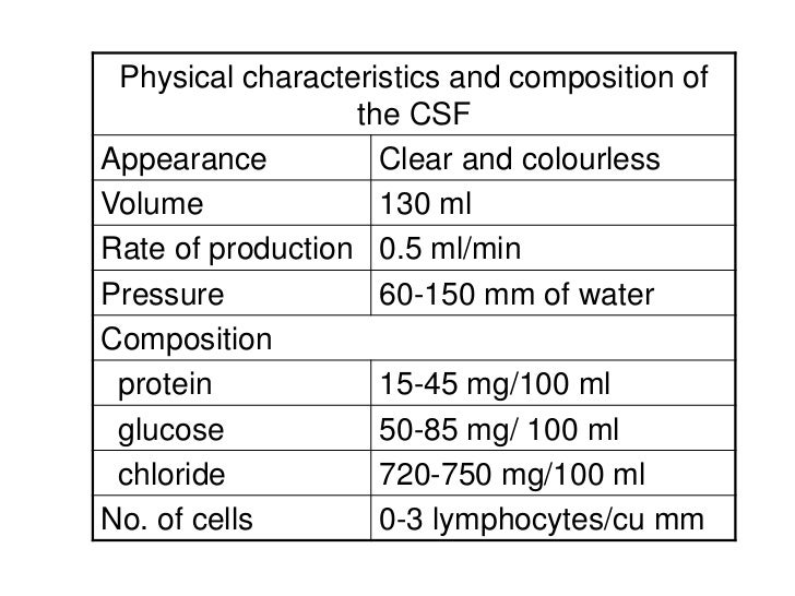 Anatomy of meninges, ventricles, cerebrospinal fluid