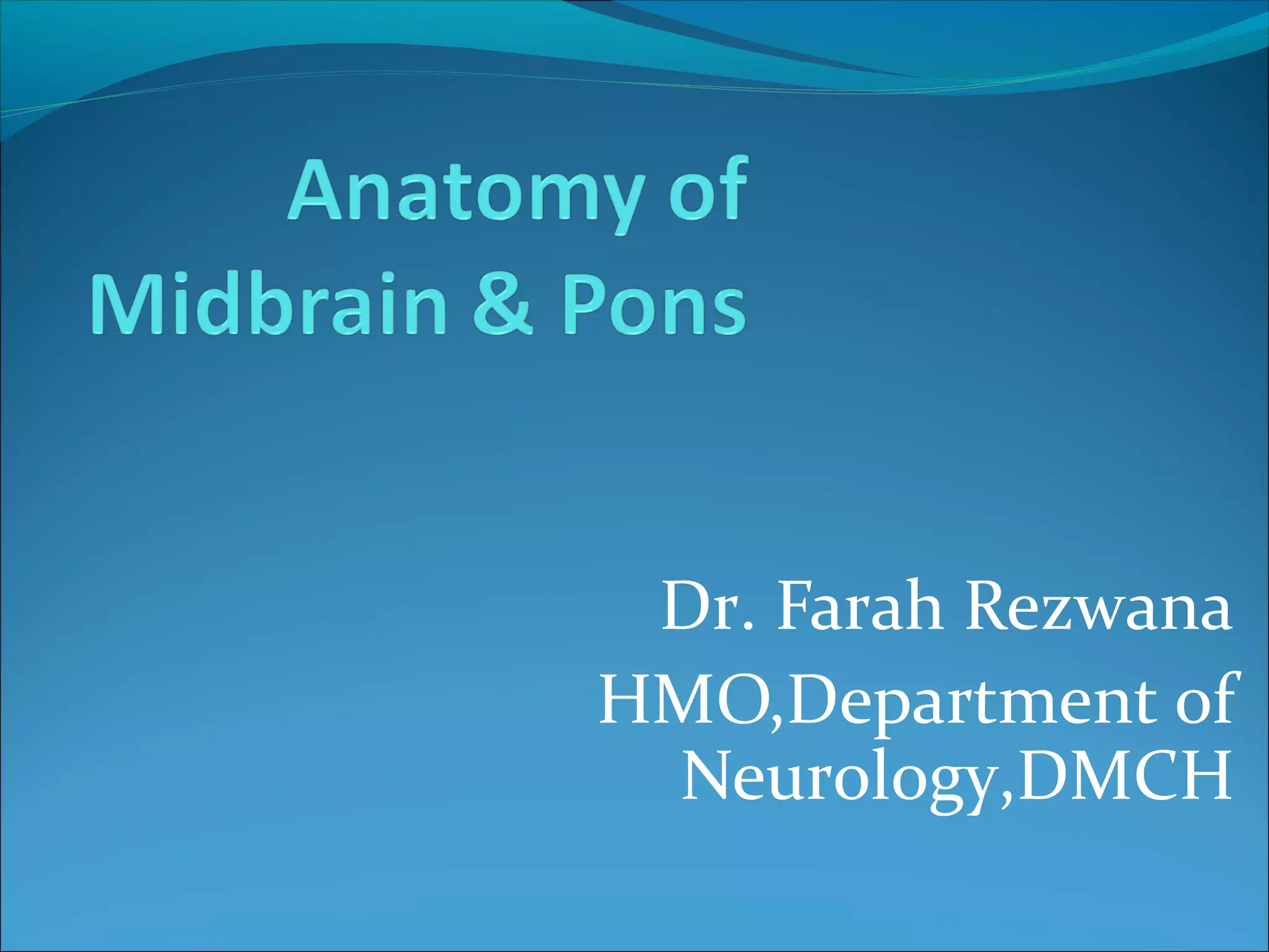 Anatomy of midbrain & pons | PPT