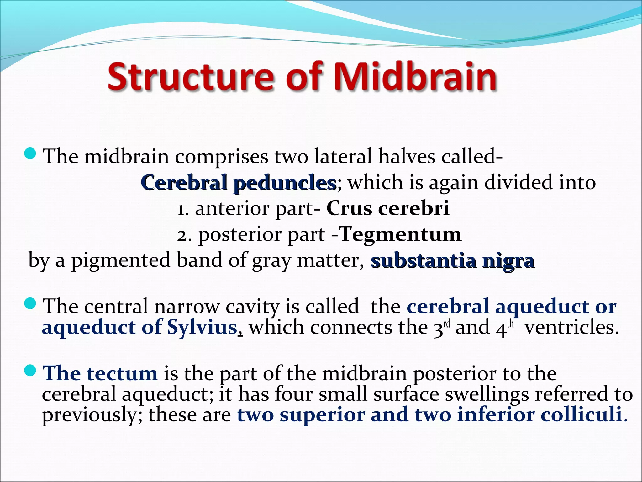 Anatomy of midbrain & pons | PPT