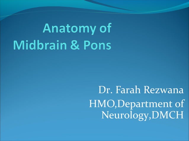 Anatomy of midbrain & pons | PPT | Brain and Nervous System Disorders ...