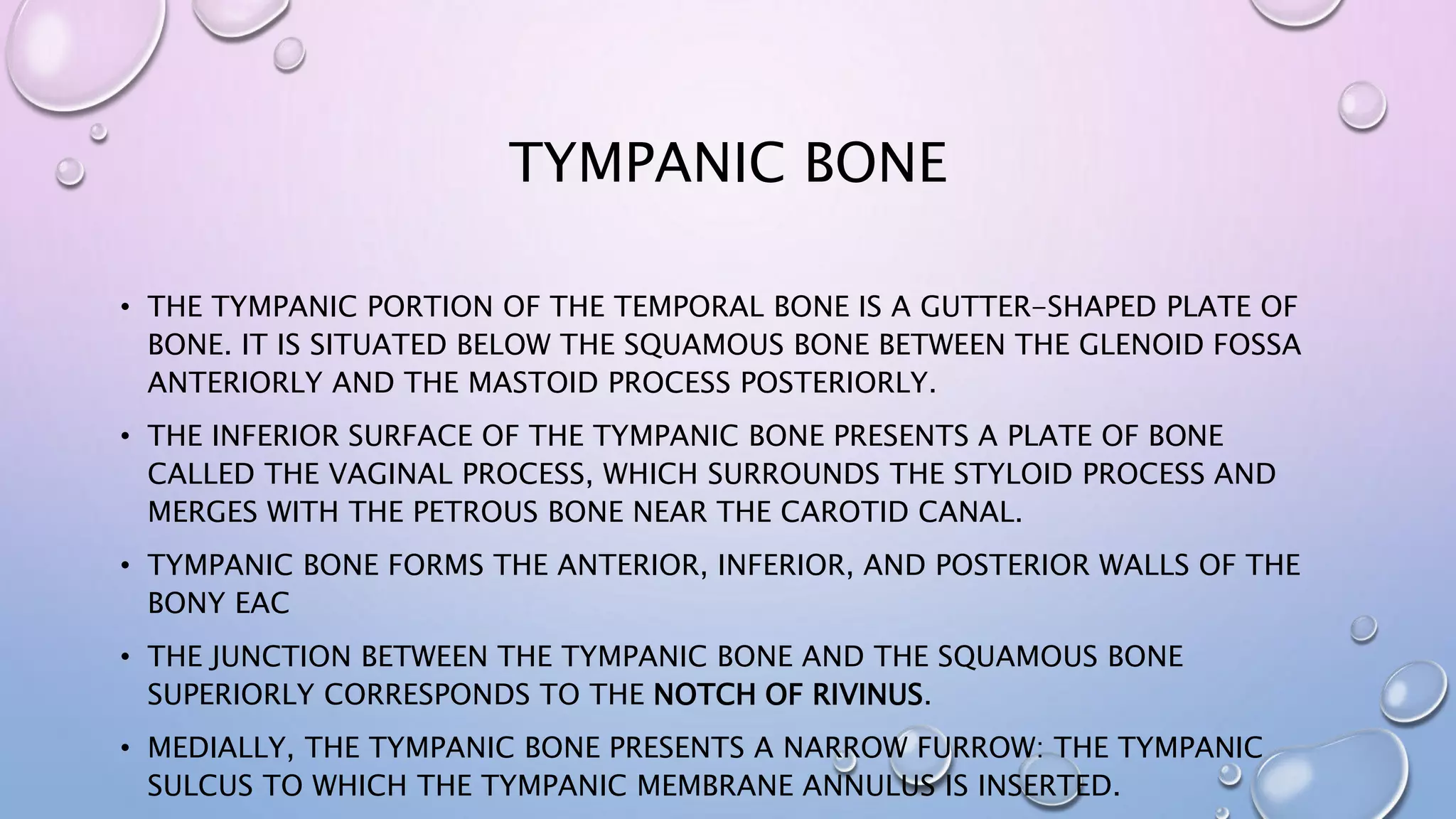 Anatomy of middle ear | PPTX