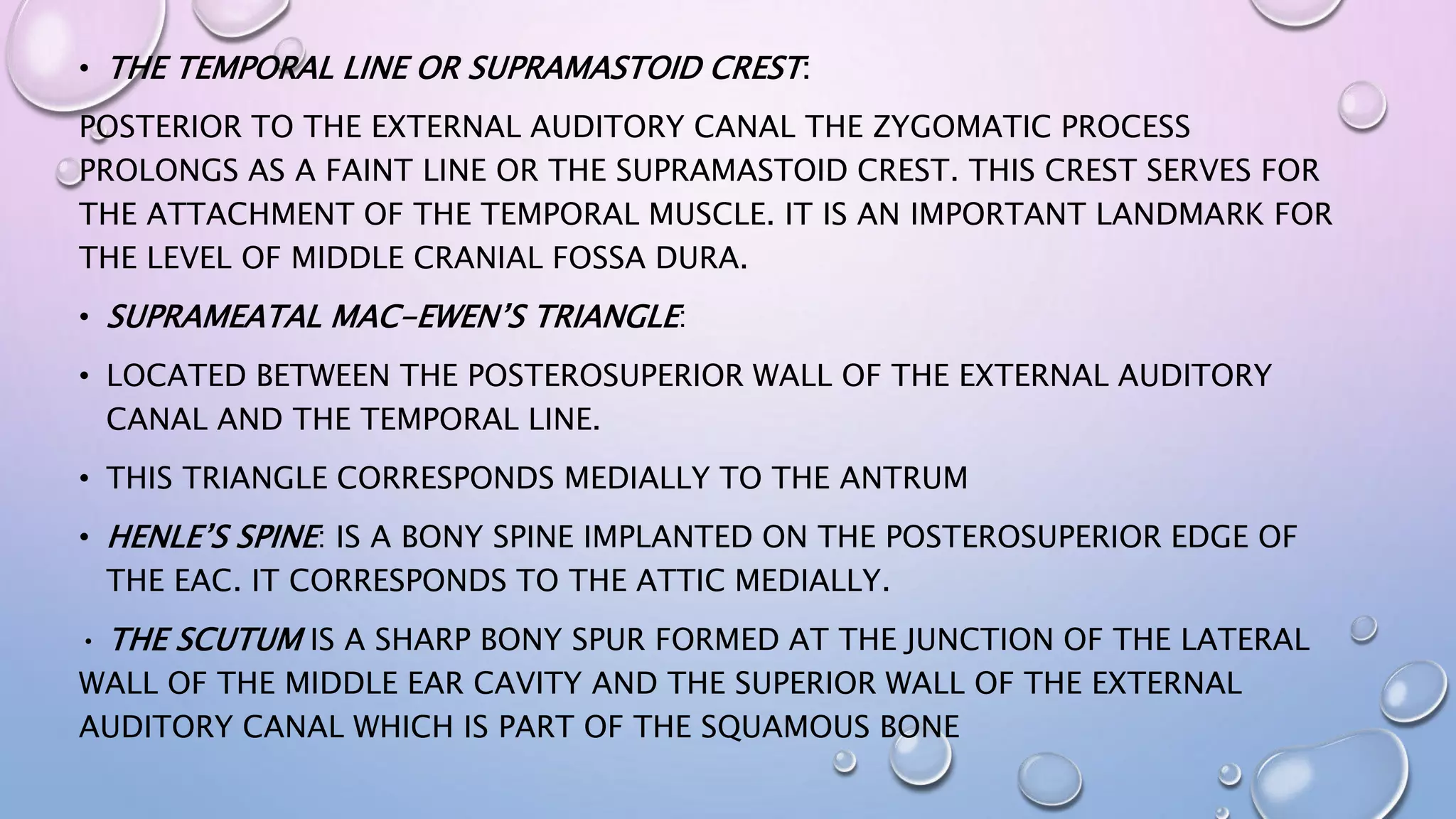 Anatomy of middle ear | PPTX