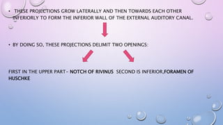 Anatomy of middle ear | PPTX